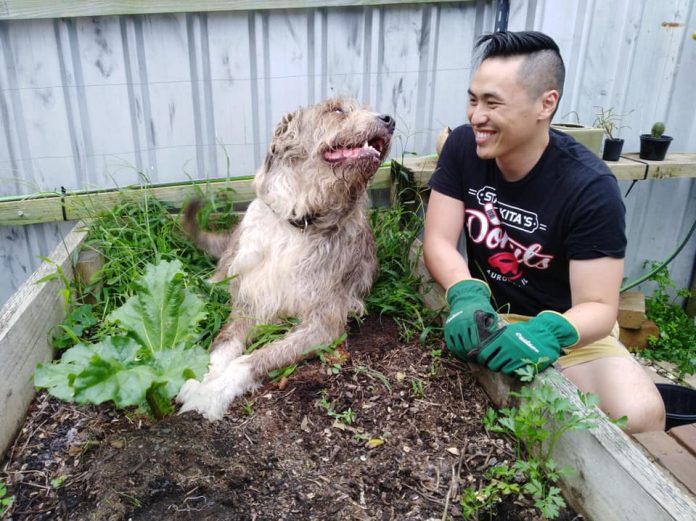 Dog Rescue Newcastle welcomes helping paw | Newcastle Weekly