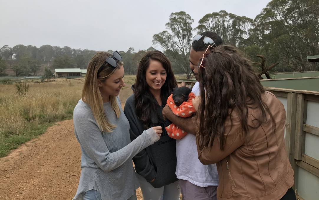 Aussie Ark to open its doors again | Newcastle Weekly