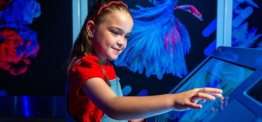 Questacon exhibit to add more Colour at museum | Newcastle Weekly