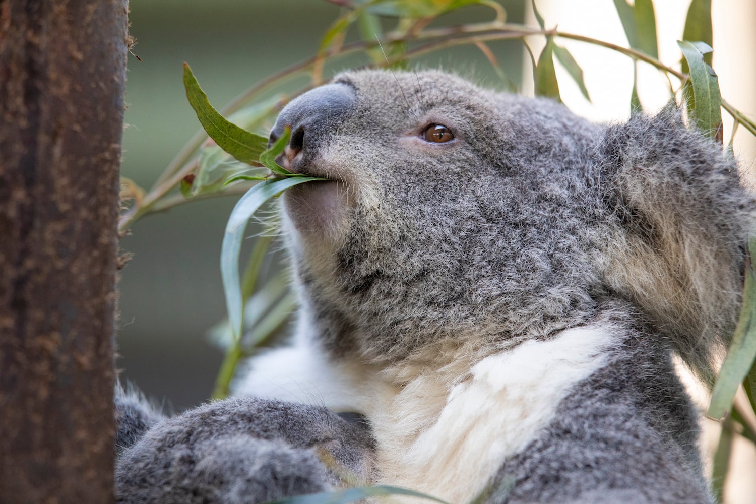 Rebecca Riddle - Journalist Profile - Intelligent Relations