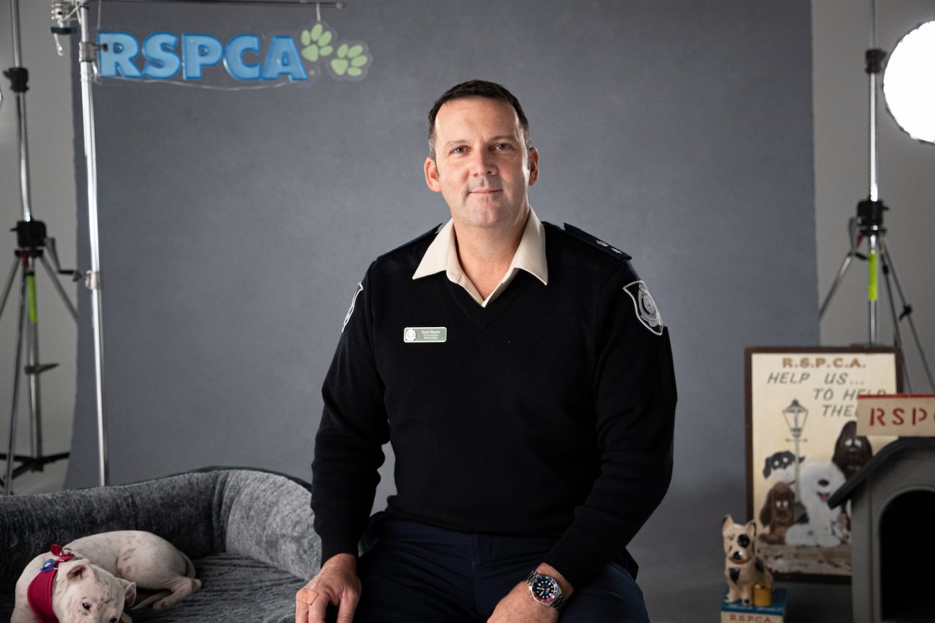 RSPCA reflects on the moments that made a mark | Newcastle Weekly