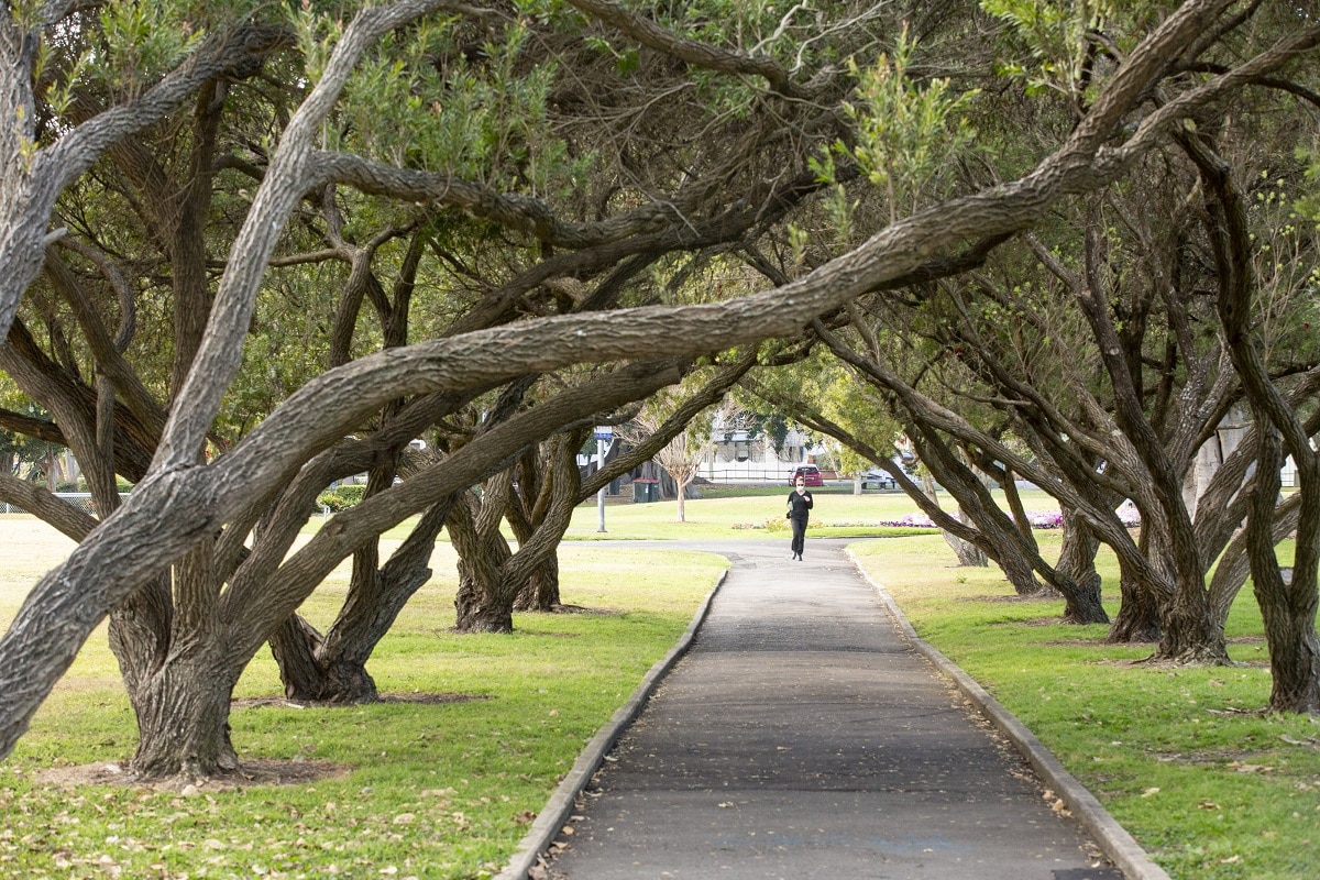 GALLERY: Historian welcomes plans for Hamilton’s Gregson Park ...