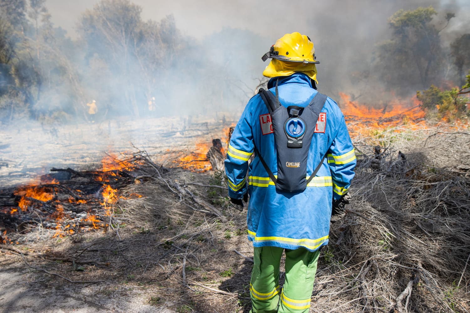 Controlled burn to unlock 'mystery box' of plant species | Newcastle Weekly