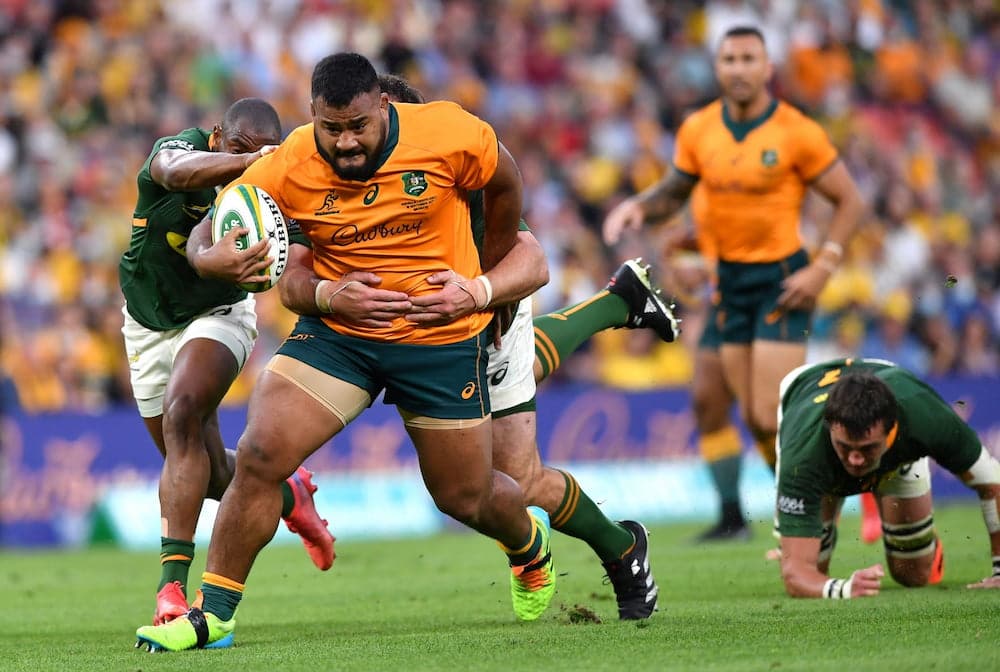Forward momentum spurring on Wallabies | Newcastle Weekly