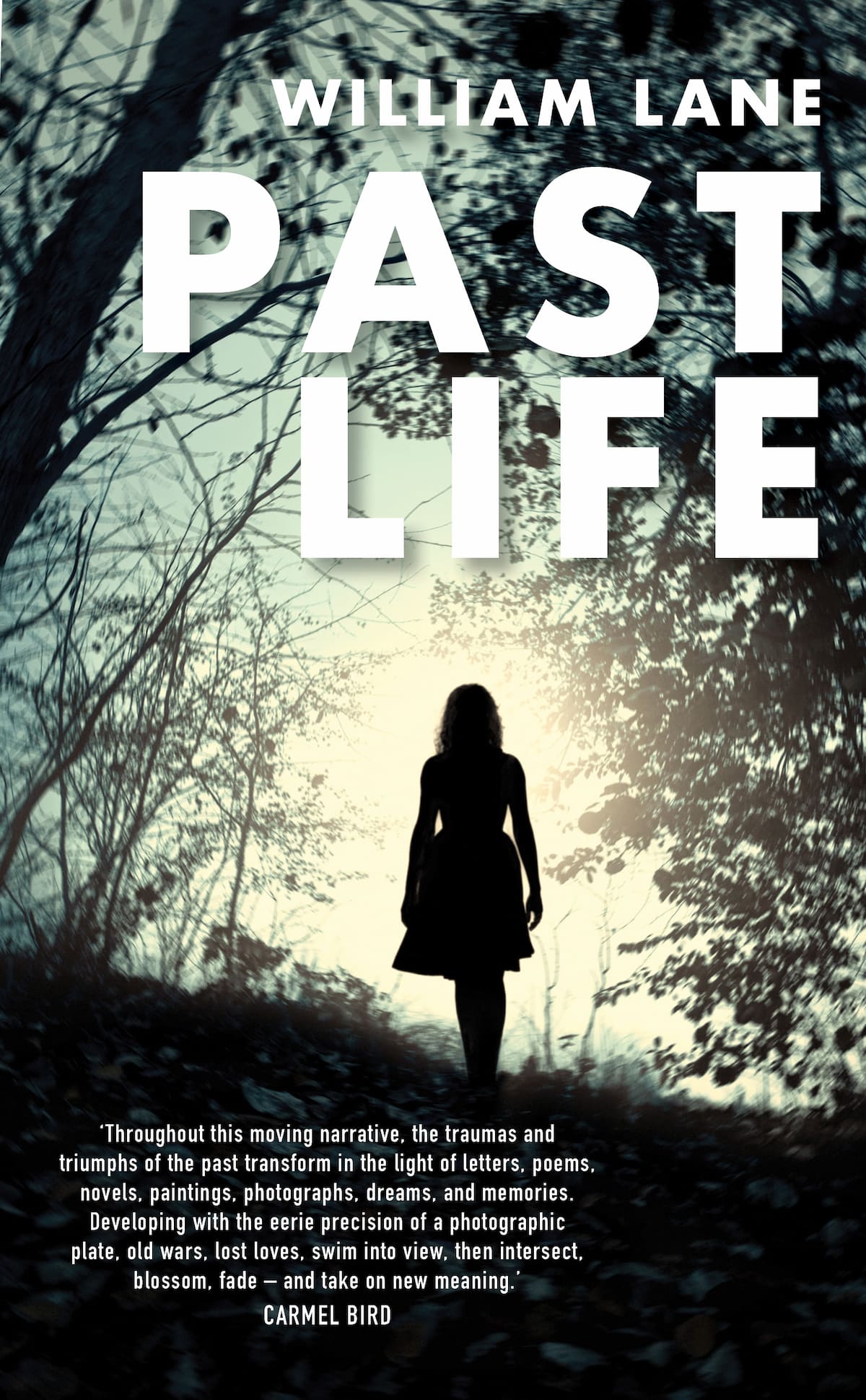 GIVEAWAY! Past Life books | Newcastle Weekly