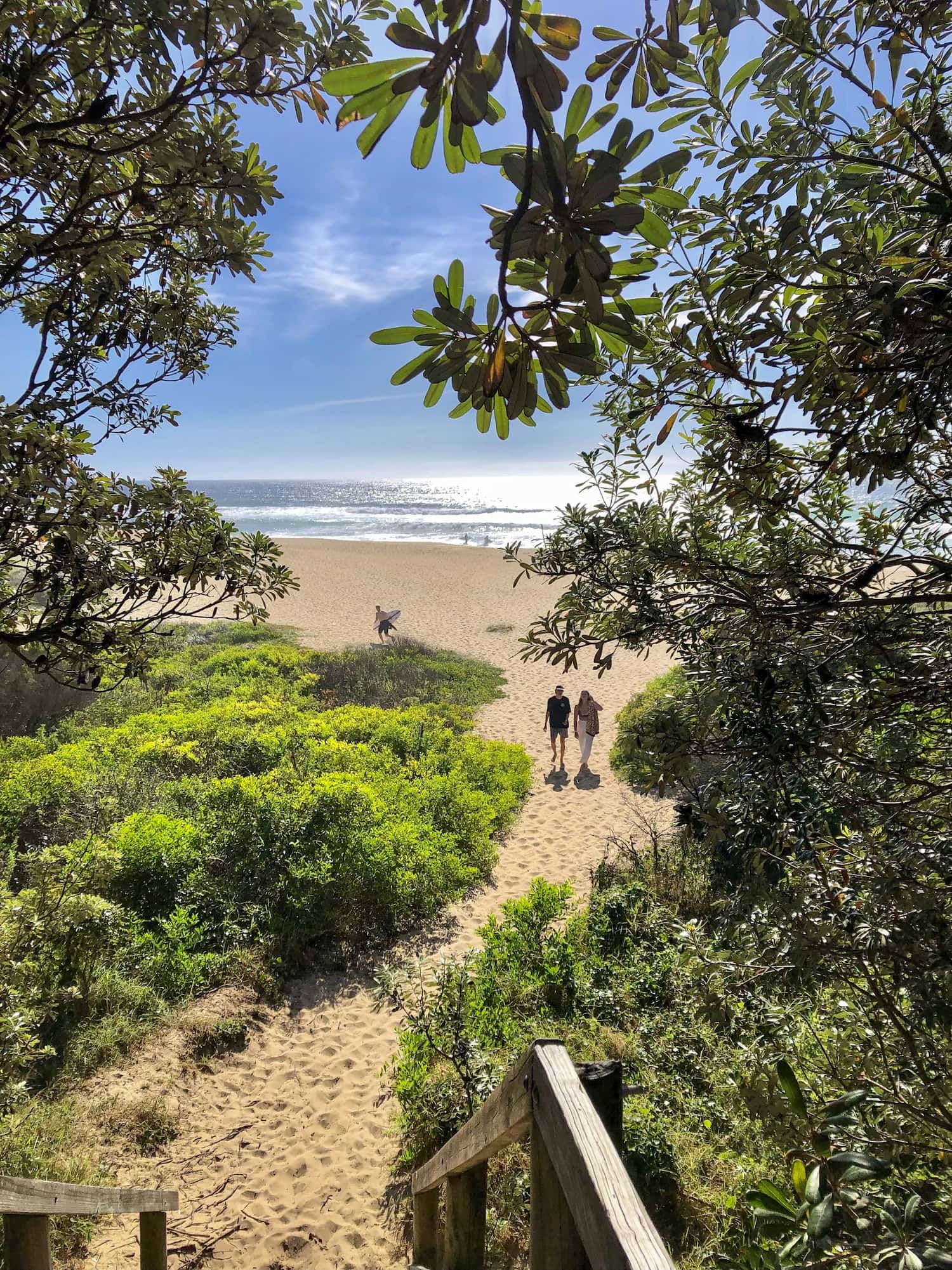 Dudley Beach named one of Australia's best | Newcastle Weekly