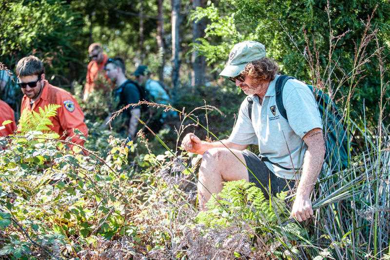 4-year-old Tasmanian girl reunited with family after search | NW