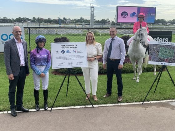 Stormwater plan to irrigate Newcastle Racecourse, sports fields ...