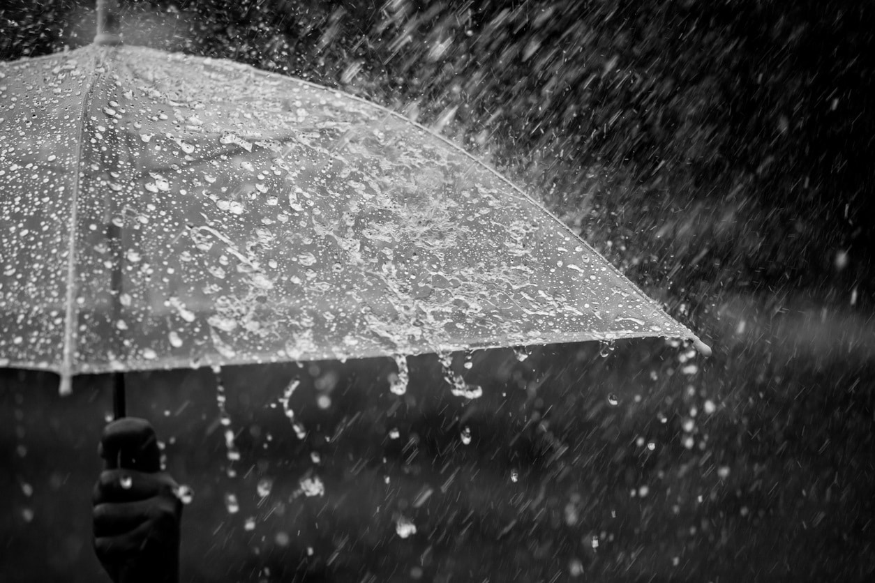 Rain here to stay, says BoM | Newcastle Weekly