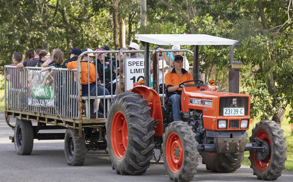 GALLERY: And... this little piggy went to Tocal Field Days | Newcastle ...
