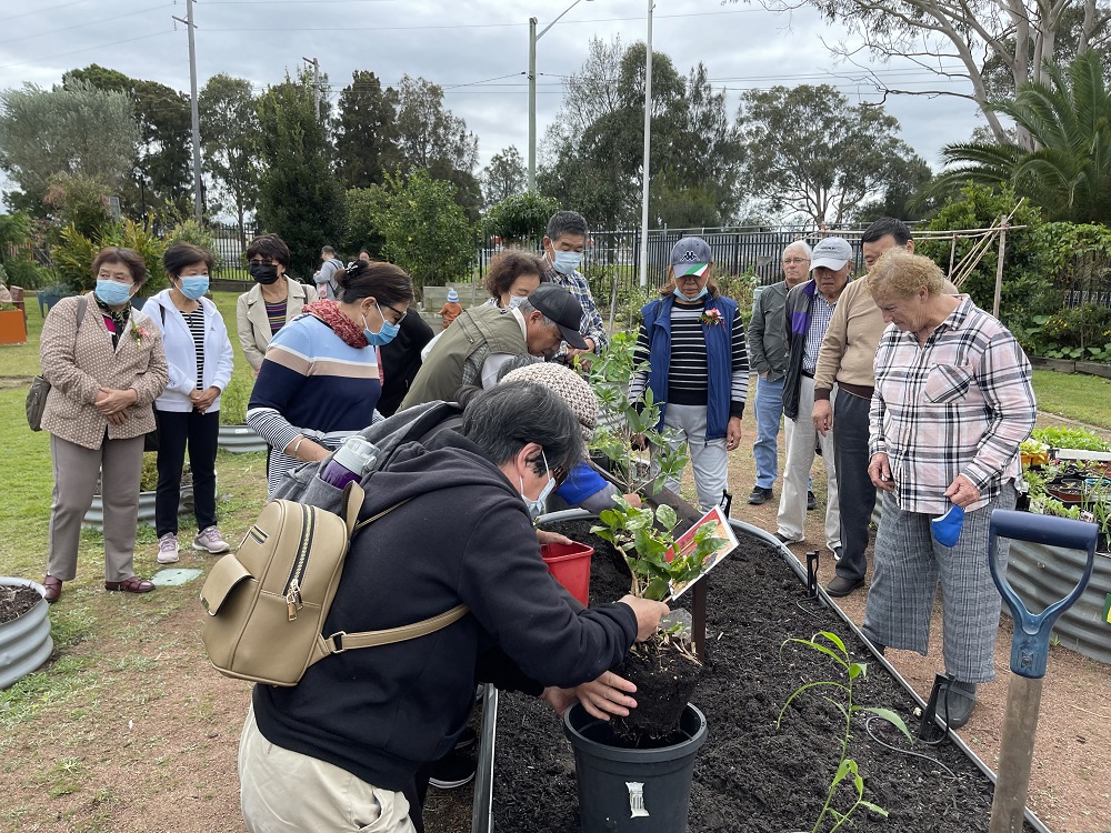 Jie plants seeds of connection for Newcastle’s Chinese community ...