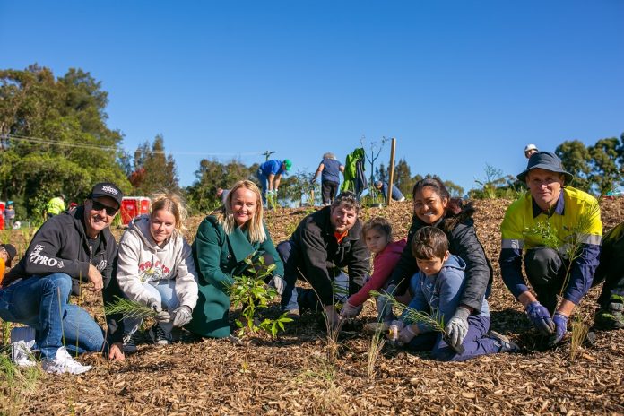 Mayfield West centre of 'leafy' transformation | Newcastle Weekly