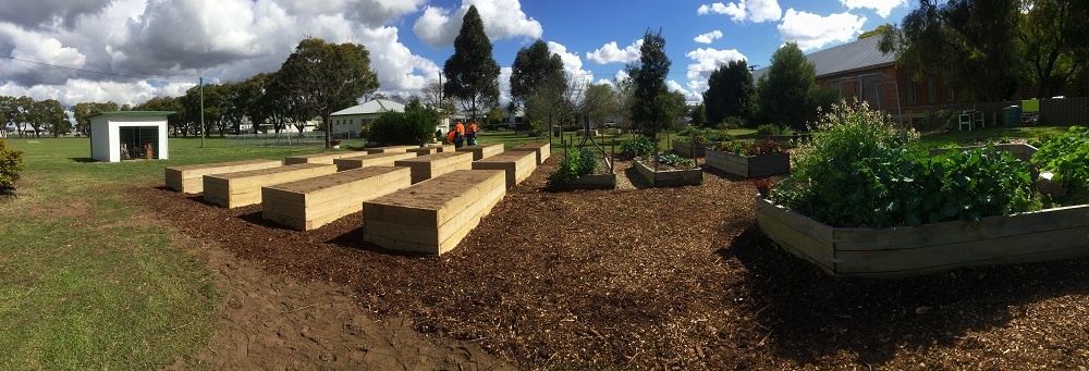 HVO apprentices get green thumbs up at community garden | Newcastle Weekly