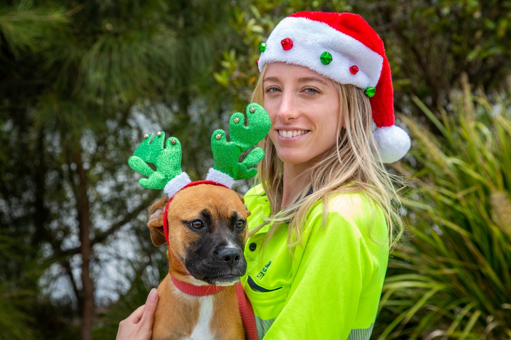 Christmas wish for fewer pound puppies at Lake Mac | Newcastle Weekly