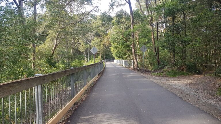 Fernleigh Track to receive $1.17m funding boost | Newcastle Weekly