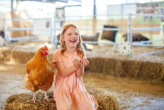 Get set for a fun-filled Newcastle Show 2023 | Newcastle Weekly