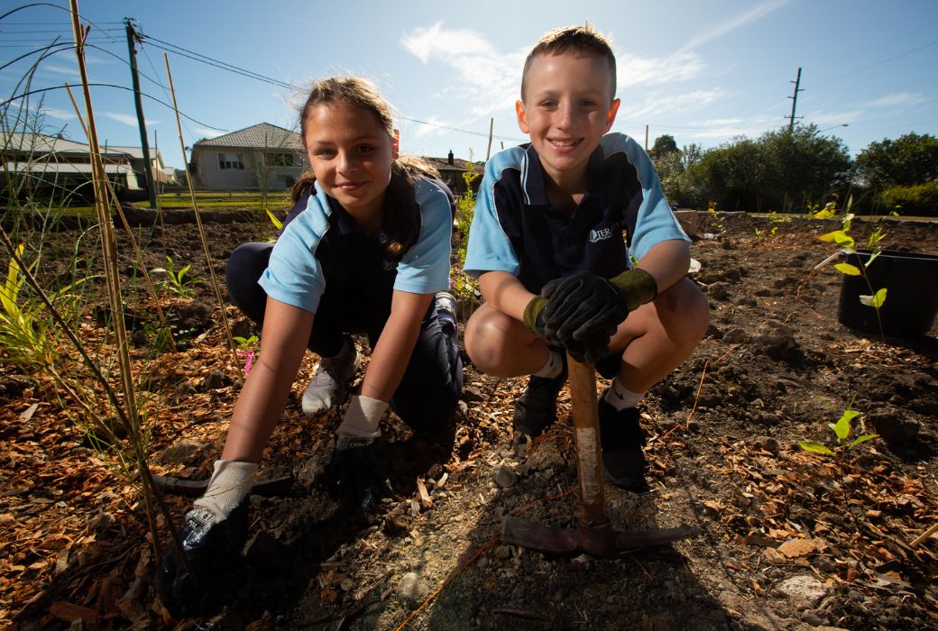 Lake Mac tiny forest reaping big rewards | Newcastle Weekly