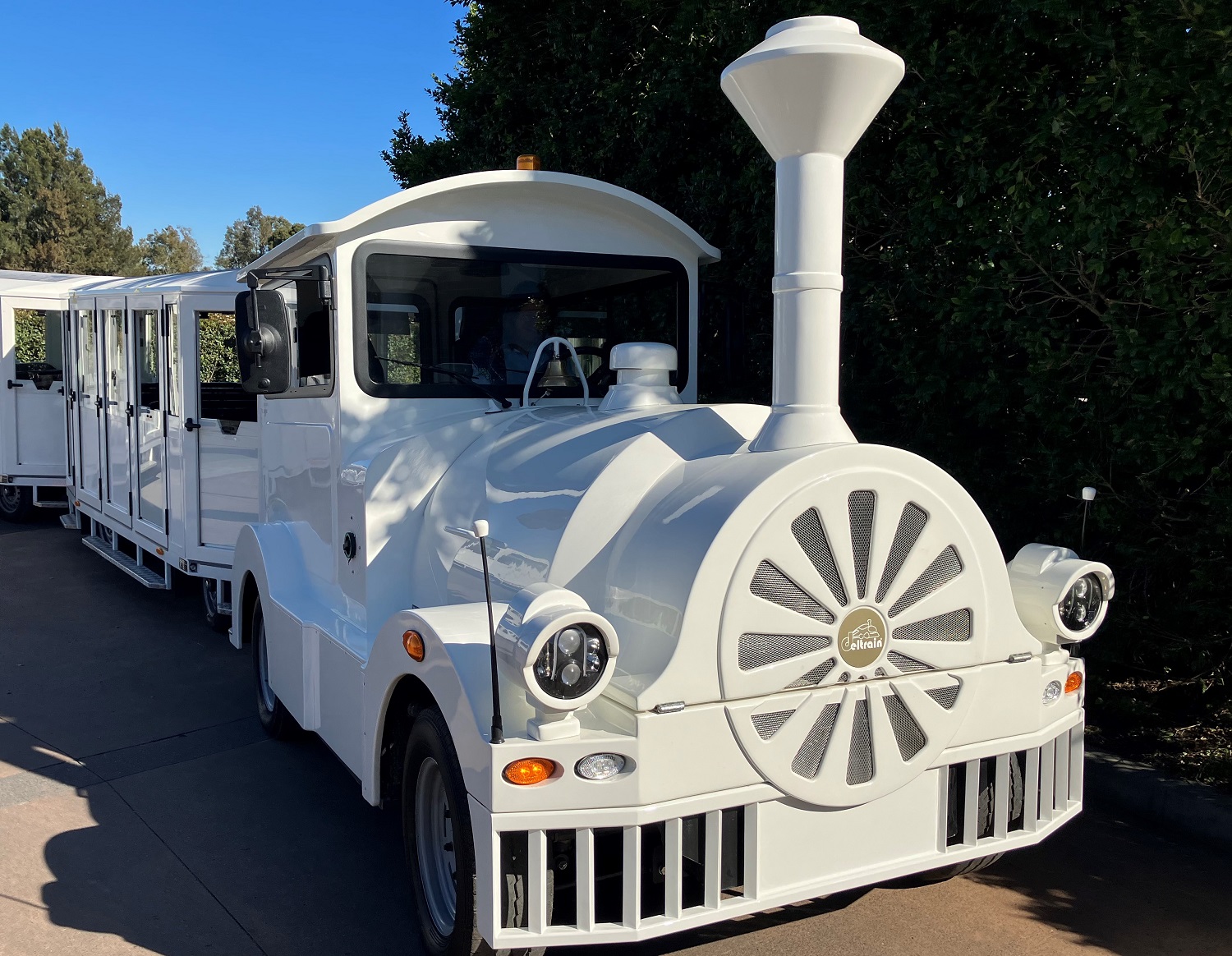Jerry Schwartz electric train | Newcastle Weekly