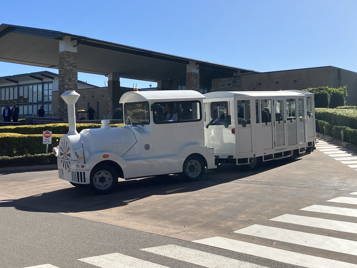 Jerry Schwartz electric train | Newcastle Weekly