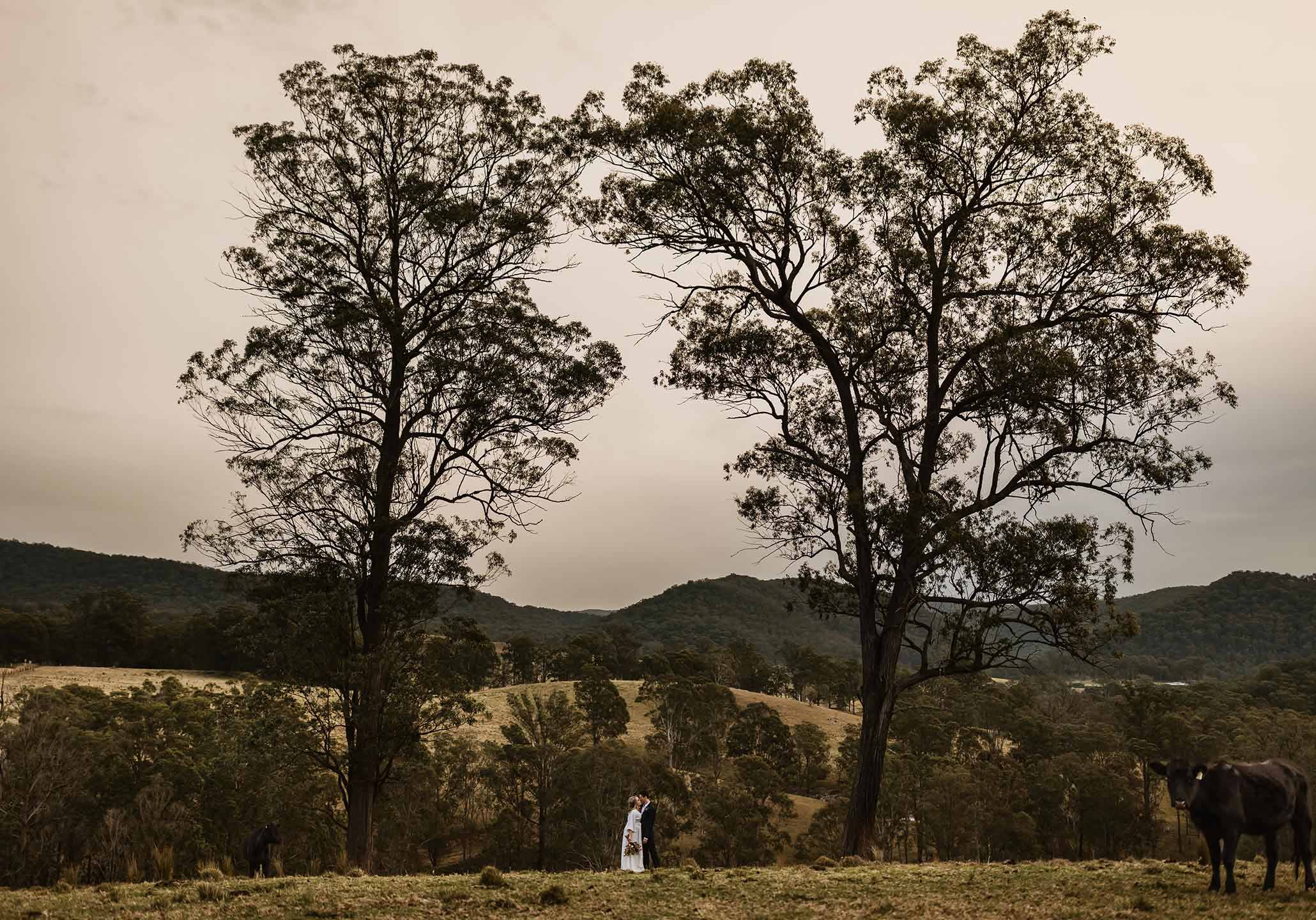 Goosewing Cottage | Newcastle Weekly