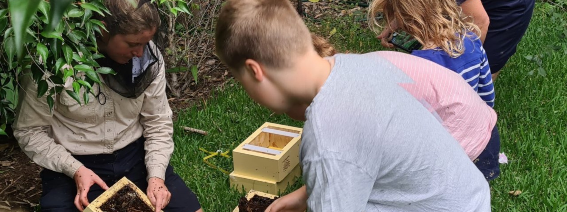 Community grant sets up Australian native bee group in Hunter ...