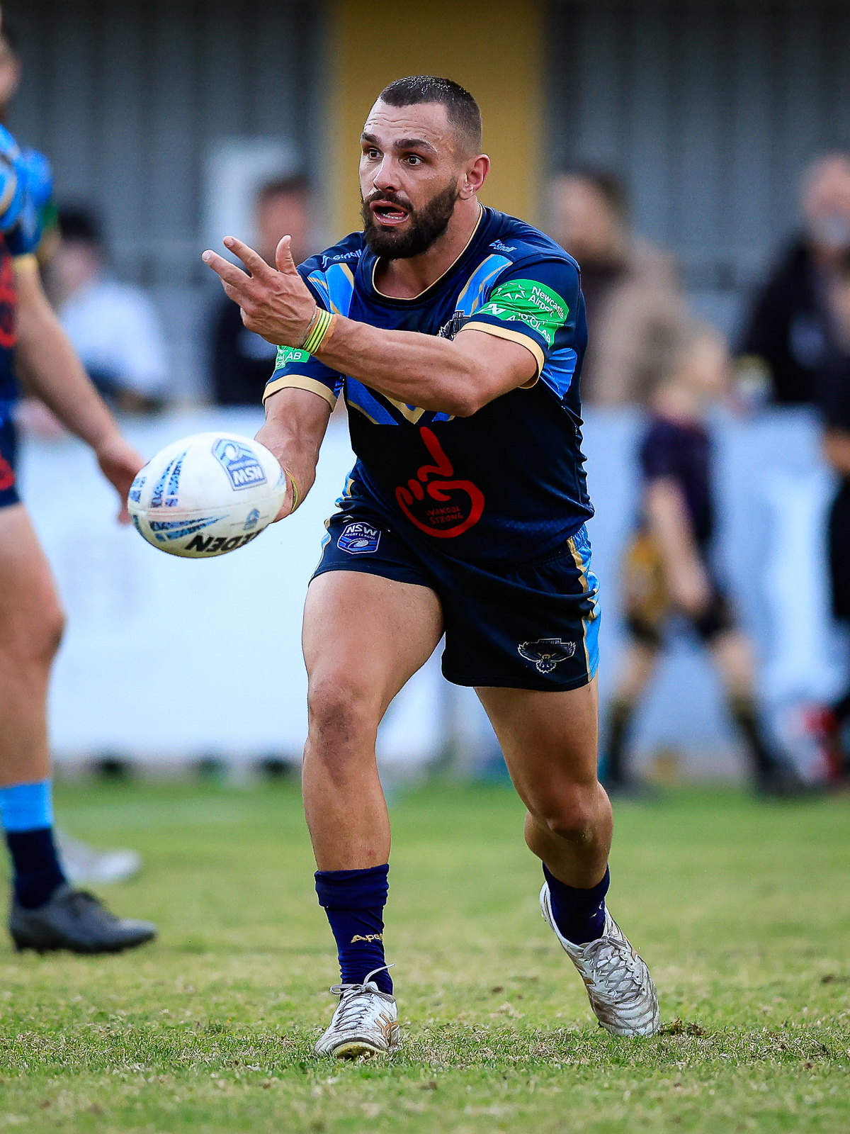 Northern Hawks Andrew Chapman | Newcastle Weekly