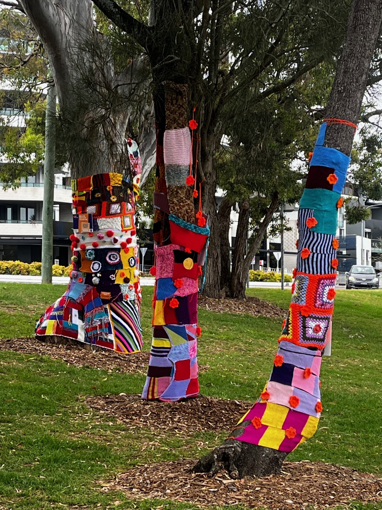 Zonta yarn bombers add significant splash of colour at Warners Bay ...