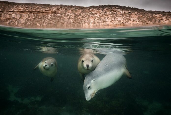 Spend the summer celebrating what makes Lake Mac unique | Newcastle Weekly