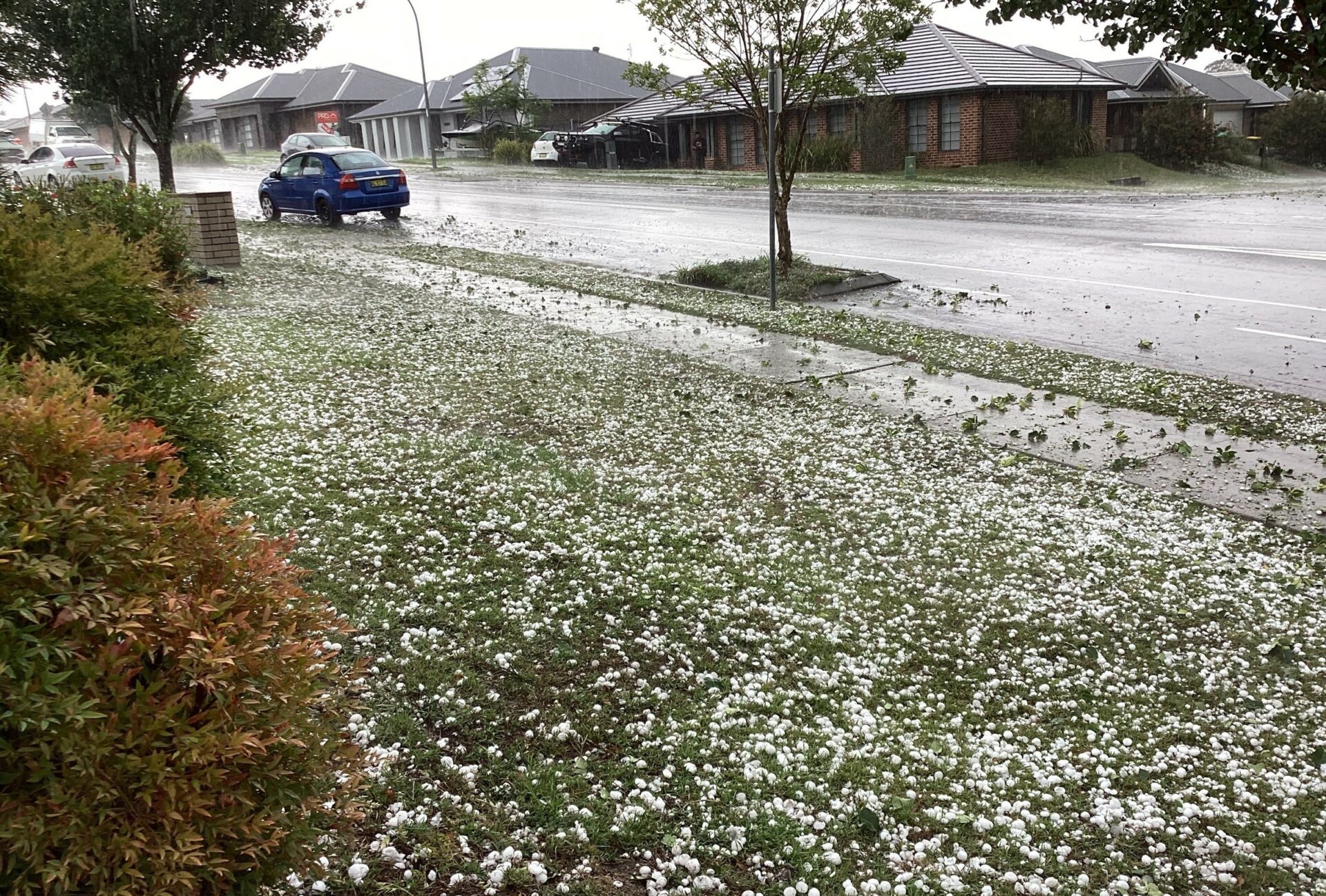 GALLERY: Residents count cost of freak hail storm | Newcastle Weekly