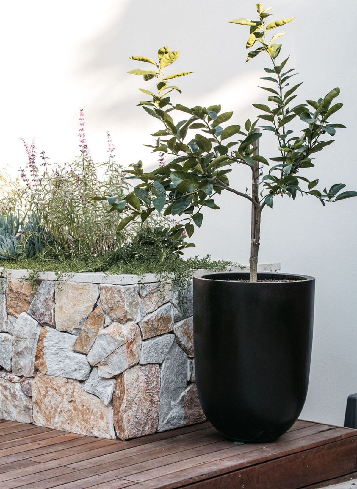 Garden design trends for 2024 | Newcastle Weekly