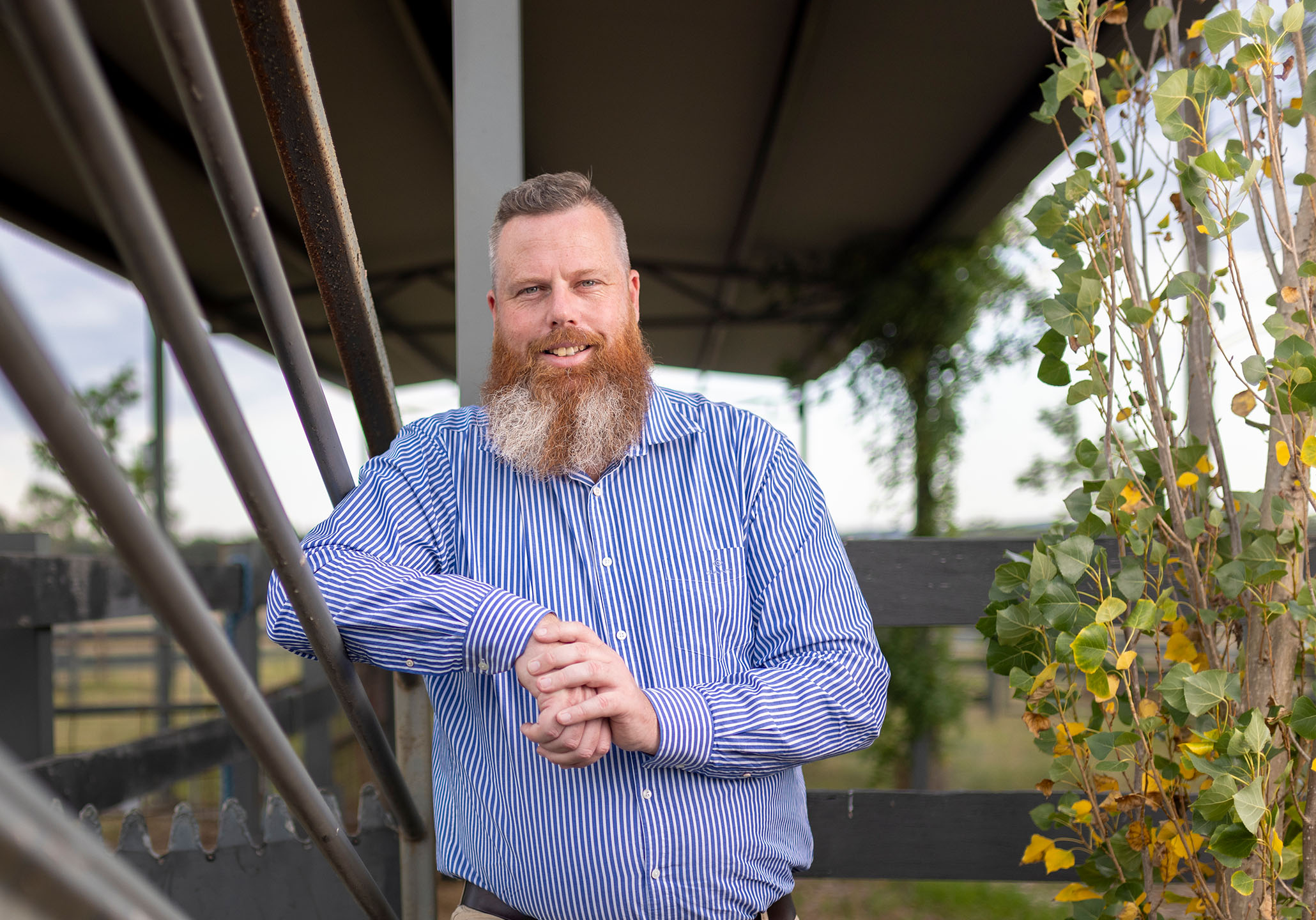 Dan Repacholi: Hunter politician takes aim at Olympic gold | Newcastle ...