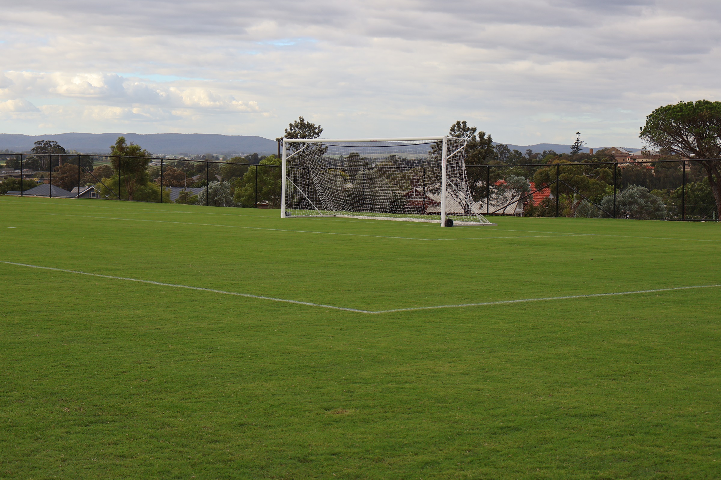 Maitland FC scores $1m goal at Cooks Square Park | Newcastle Weekly