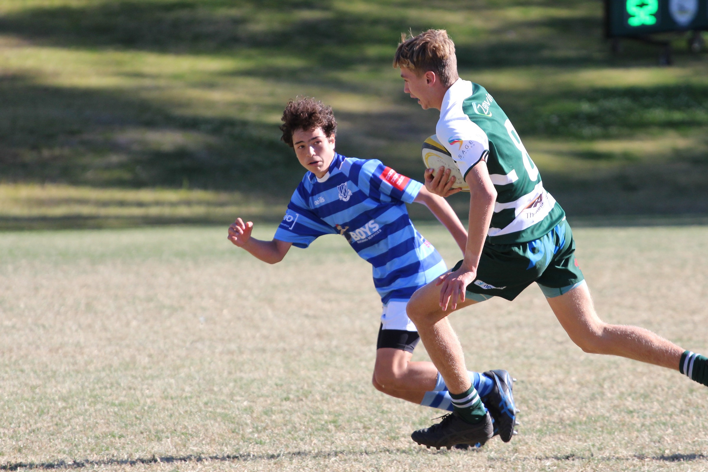 Celebrate A Day In Union with Wanderers Junior Rugby | Newcastle Weekly