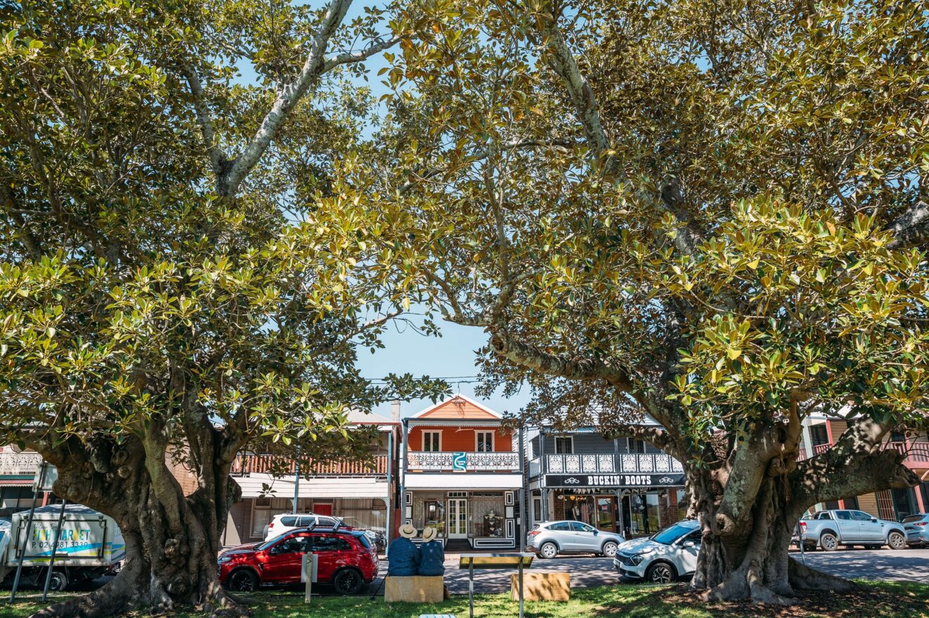 Raymond Terrace set for revitalisation, with the help of local ...