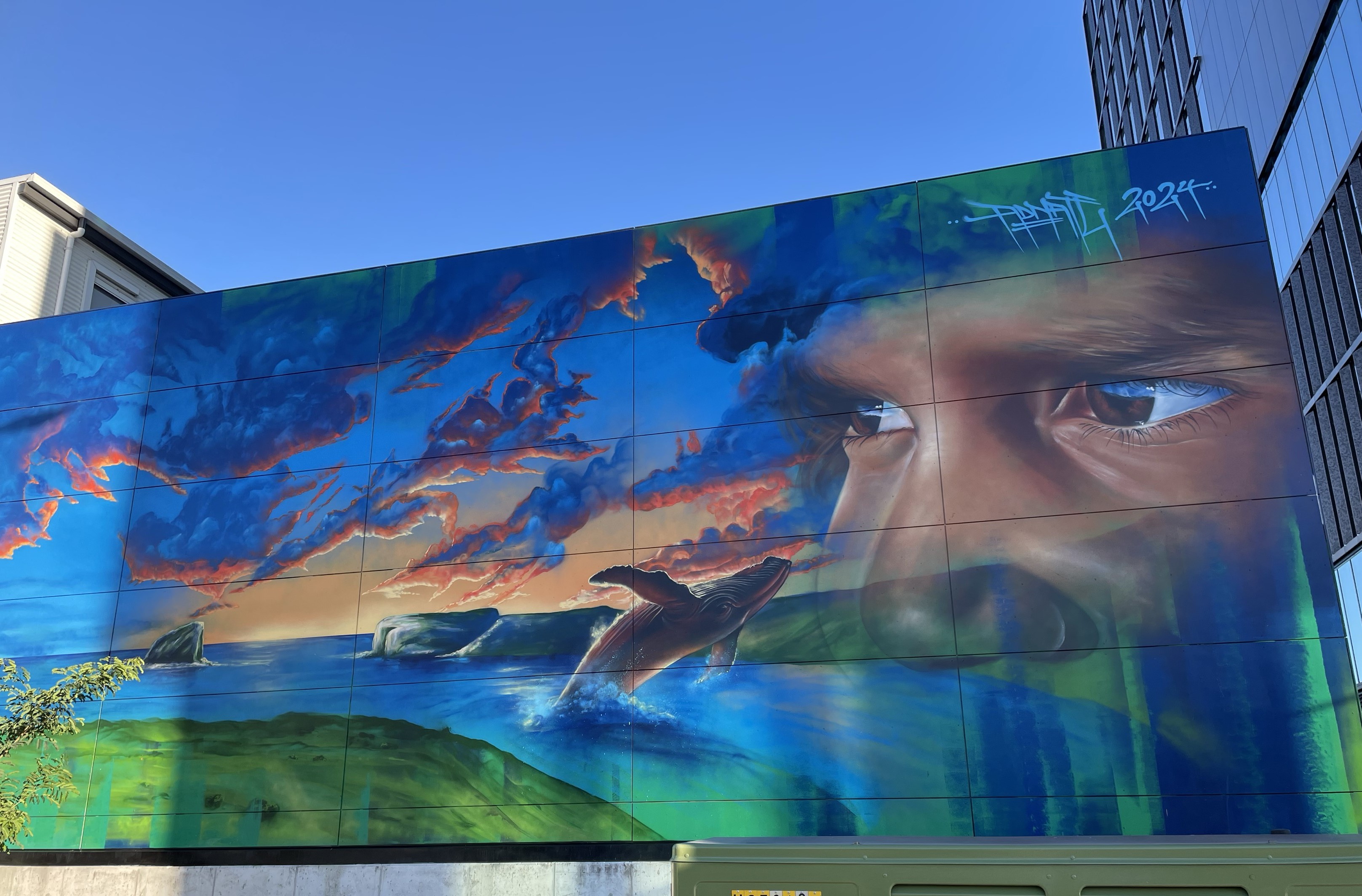 New mural adds splash of colour to Newy’s CBD | Newcastle Weekly