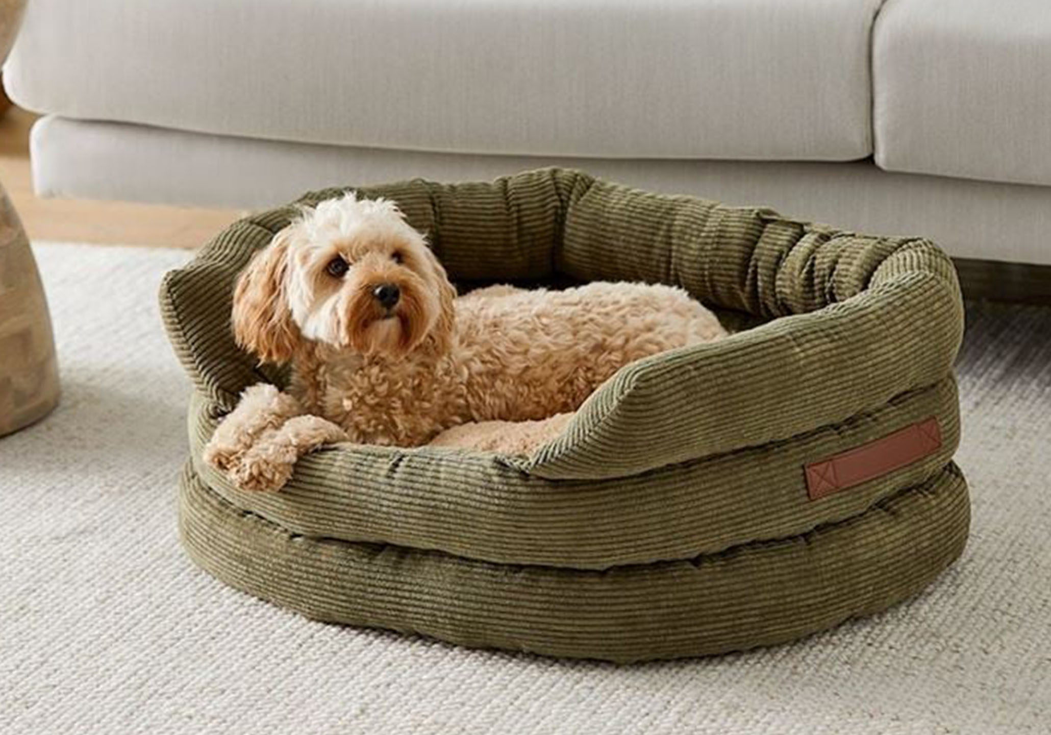 Pet Style Guide | Newcastle Weekly