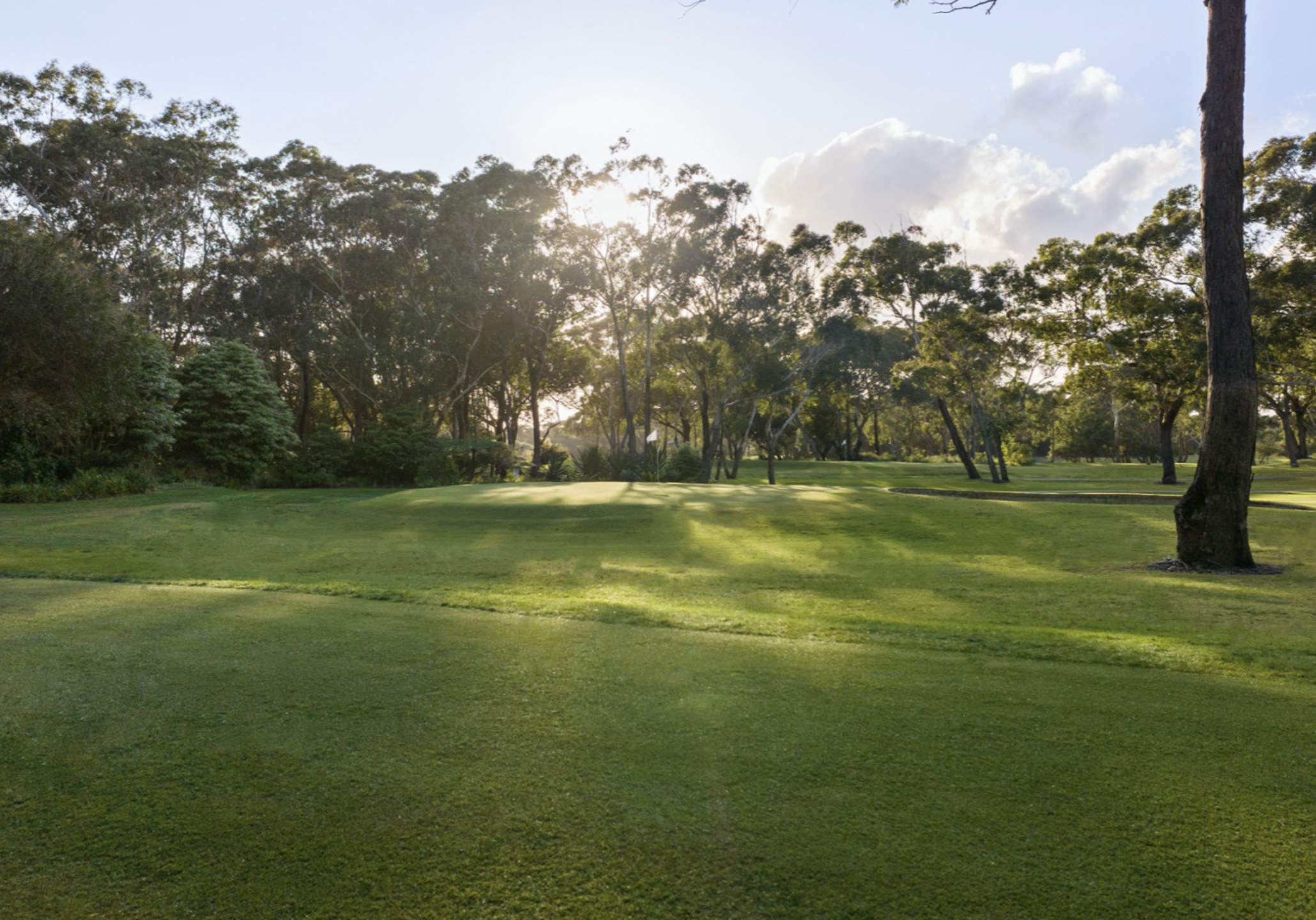 Hawks Nest Golf Club | Newcastle Weekly
