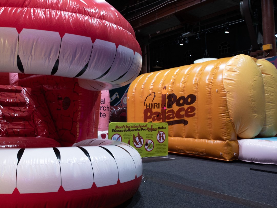 Newcastle Poo Palace | Newcastle Weekly