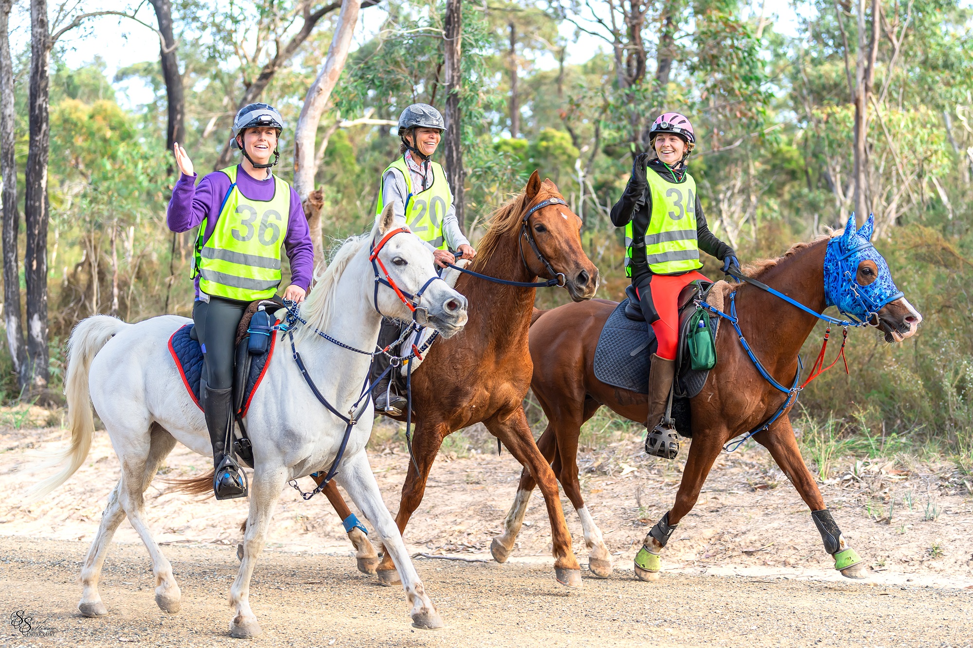 Watagans at Werakata | Newcastle Weekly