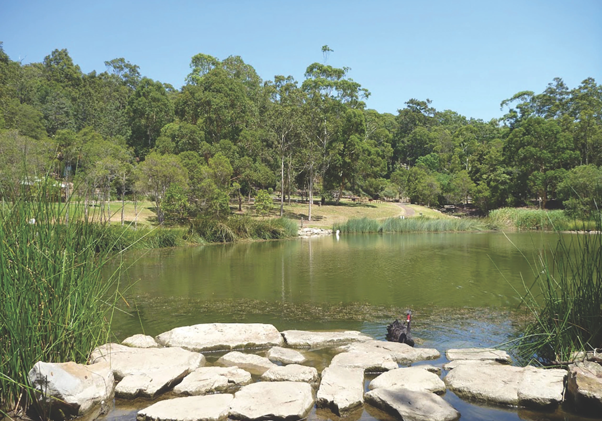 11 great kids party venues in Newcastle | Newcastle Weekly