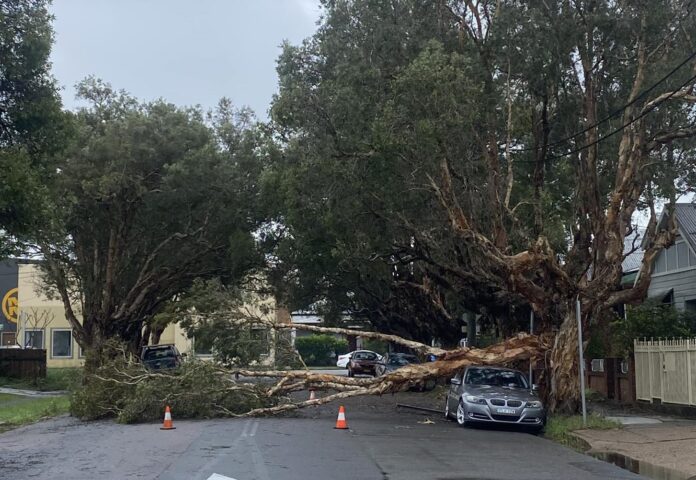 Hunter storm | Newcastle Weekly