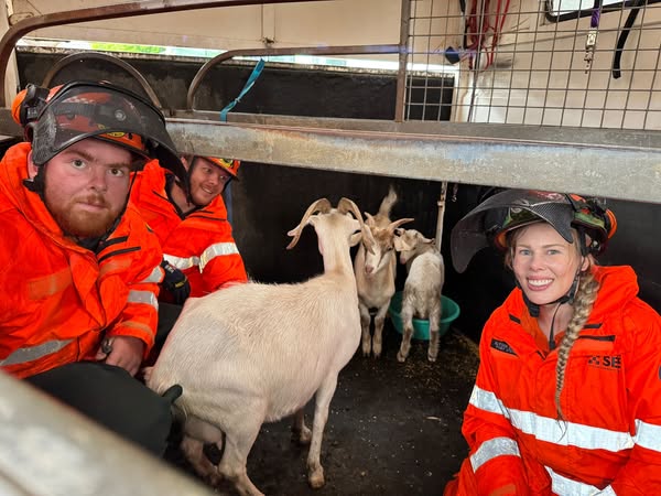 We're not 'kidding'... storm support 'isn't enough, leaving some in the ...