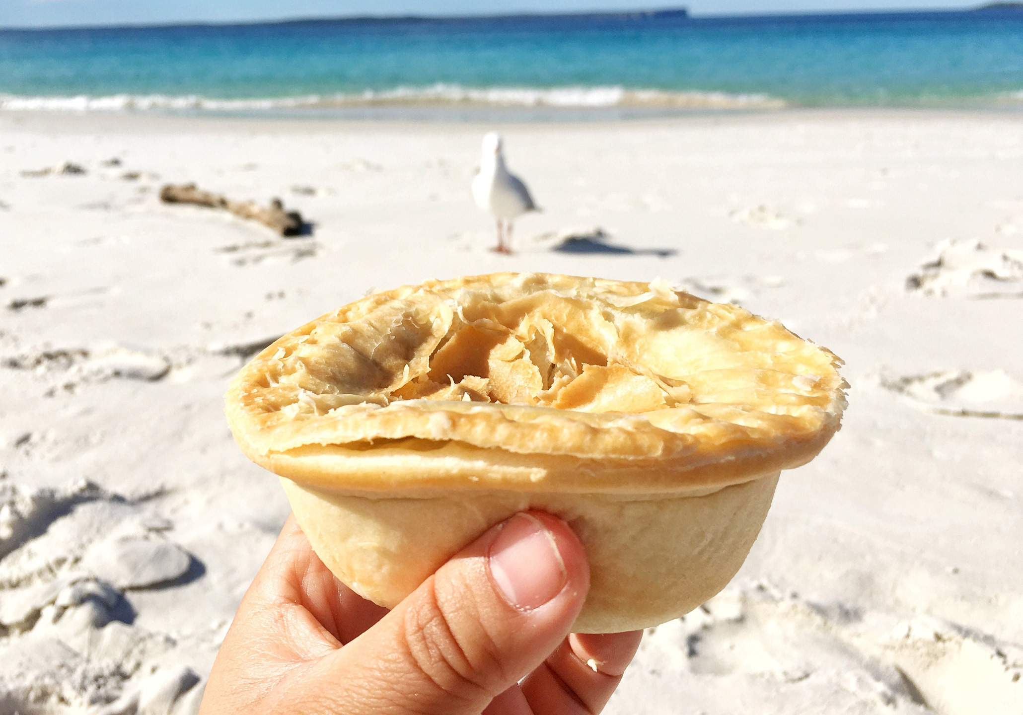 Pastry perfection - Newcastle's best pies | Newcastle Weekly