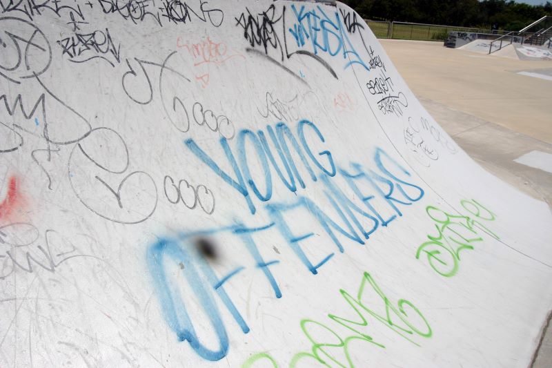 Operation Soteria making its mark on youth crime, says Catley | Newcastle Weekly