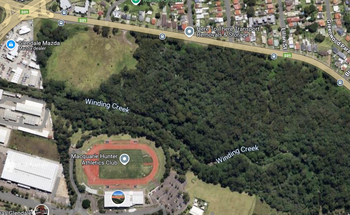 Lake Mac MP tosses up Maneela Oval as perfect site for basketball ...