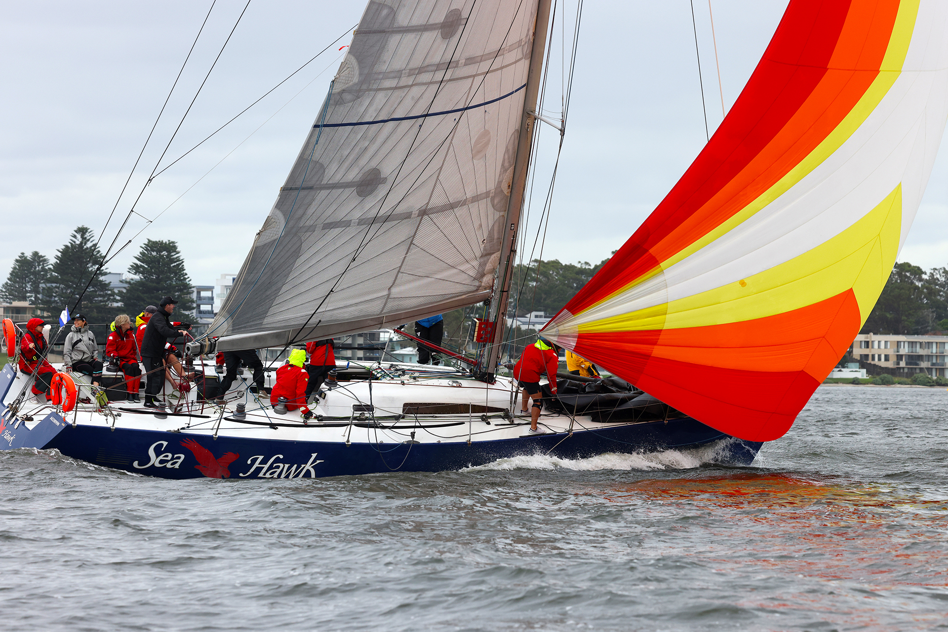 Commodores Cup full of water doesn't dampen sailing spirits | Newcastle Weekly