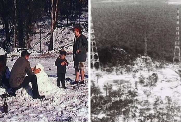 60 years ago today - snow fell in the Hunter | Newcastle Weekly