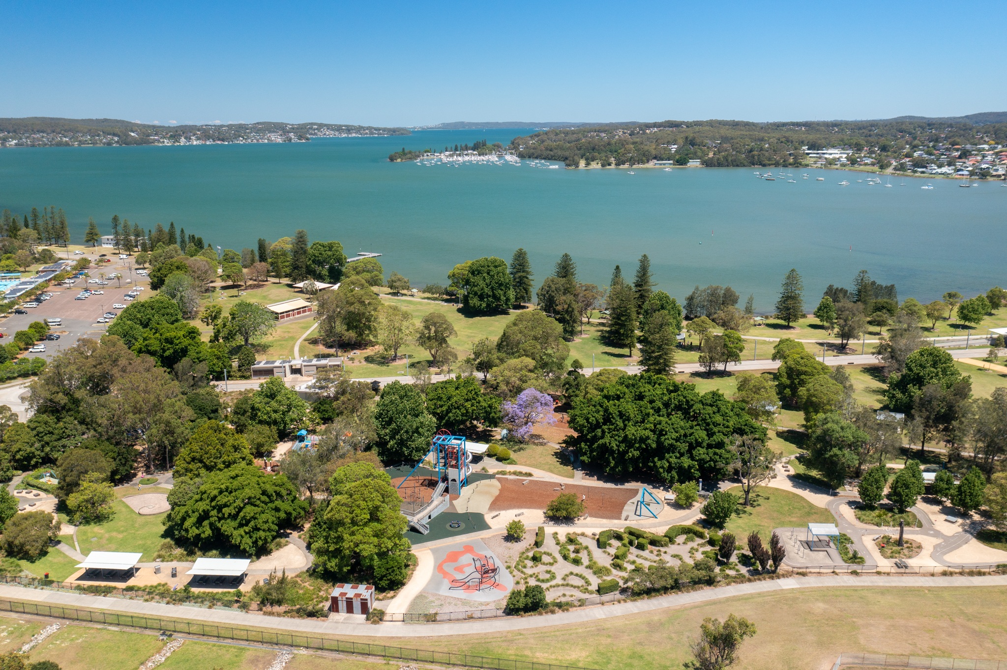 Plans afoot for Speers Point Park’s next adventure | Newcastle Weekly