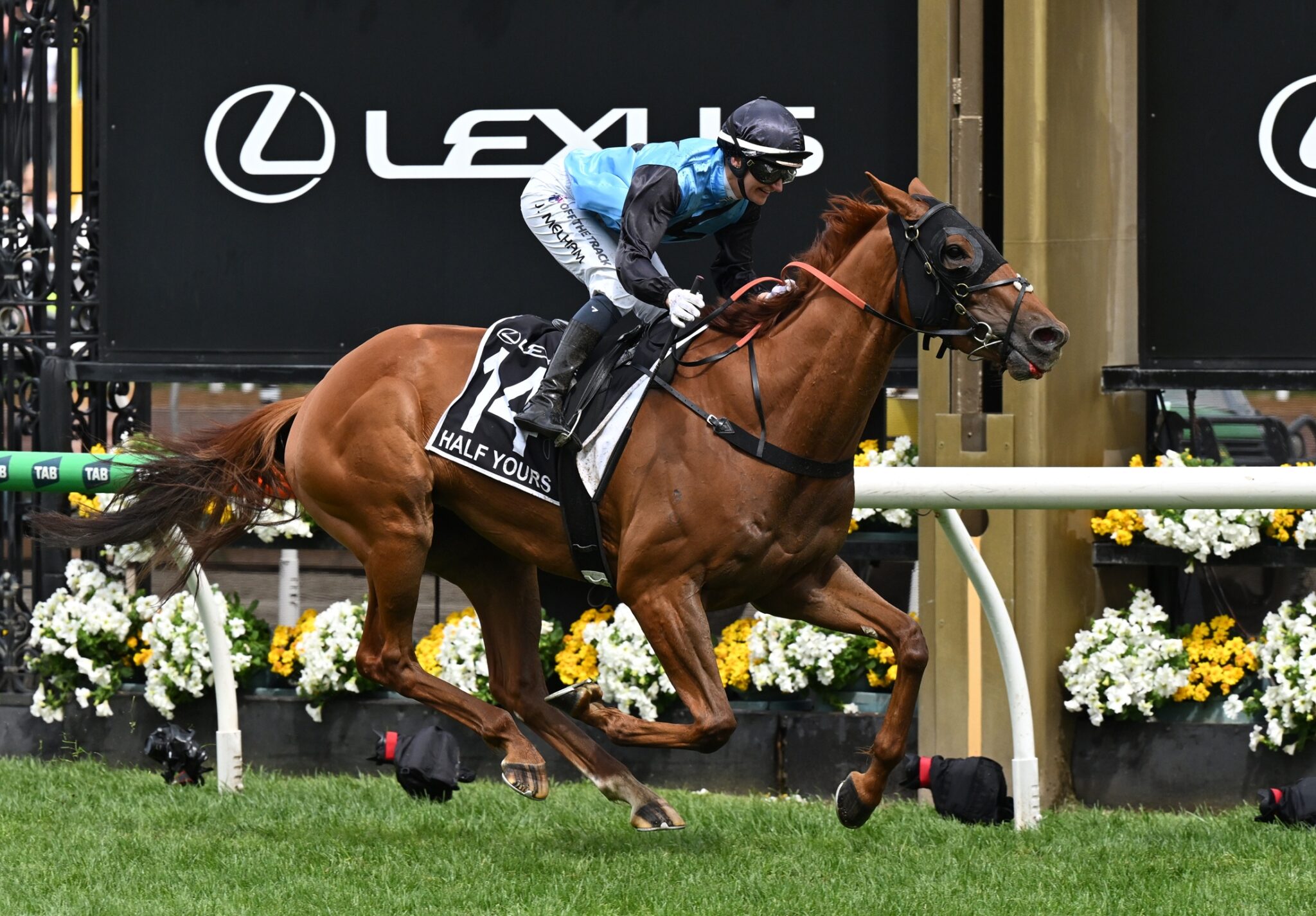Jamie Melham creates history as Half Yours wins 2025 Melbourne Cup ...