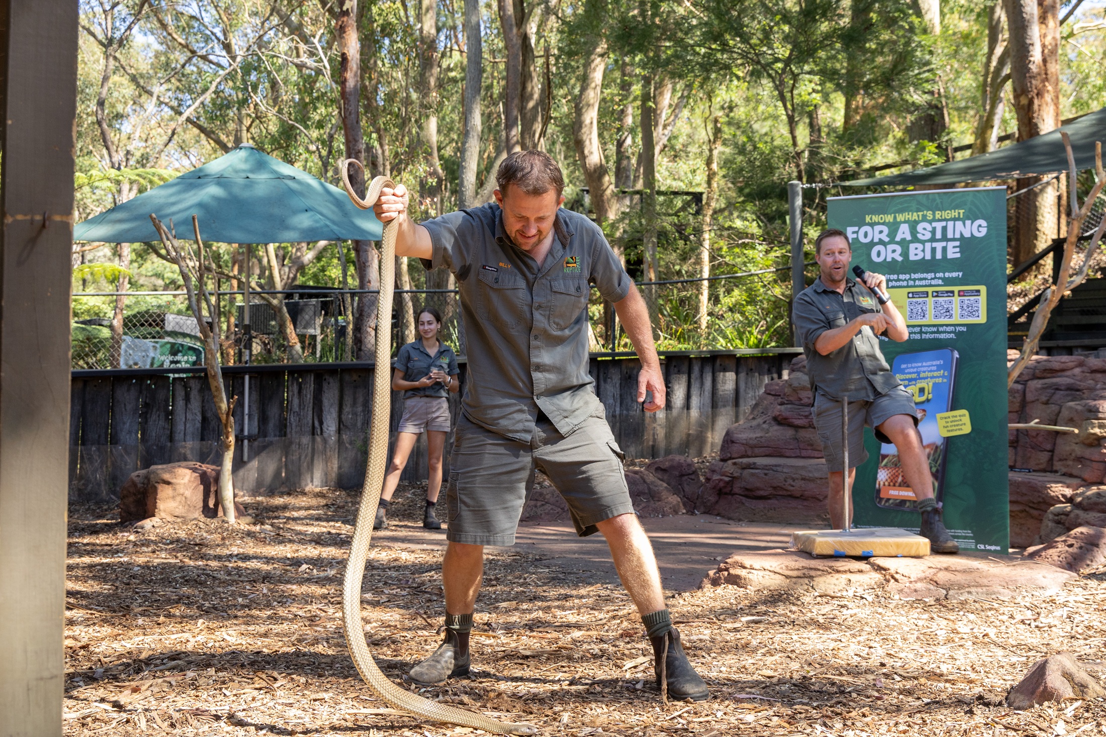 New app to take bite out of venomous incidents | Newcastle Weekly